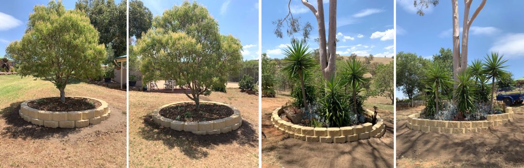 Norfolk® Tree Ring and Retaining Wall Planter - Cowra Concrete Products